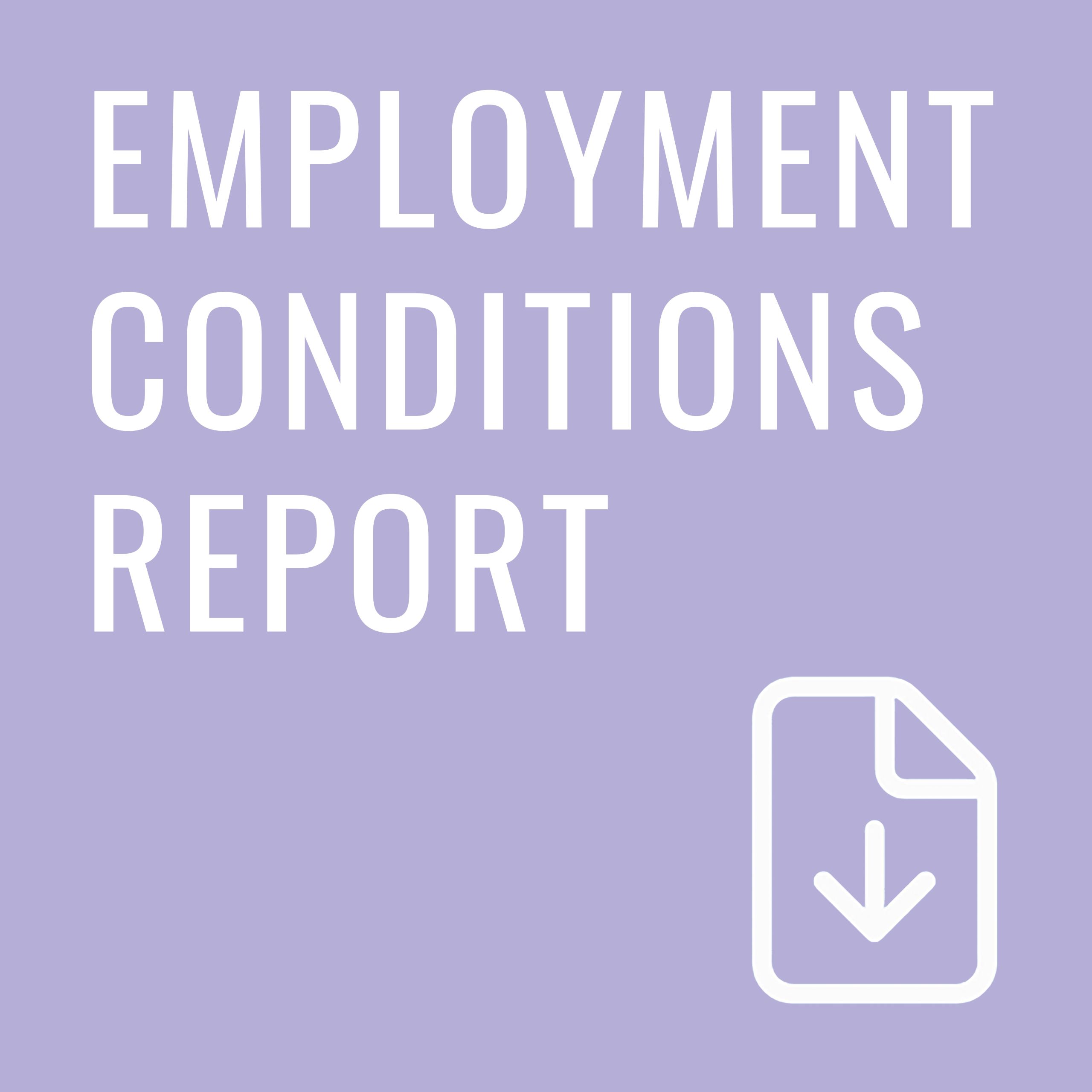 Employment Conditions Report - swissICT
