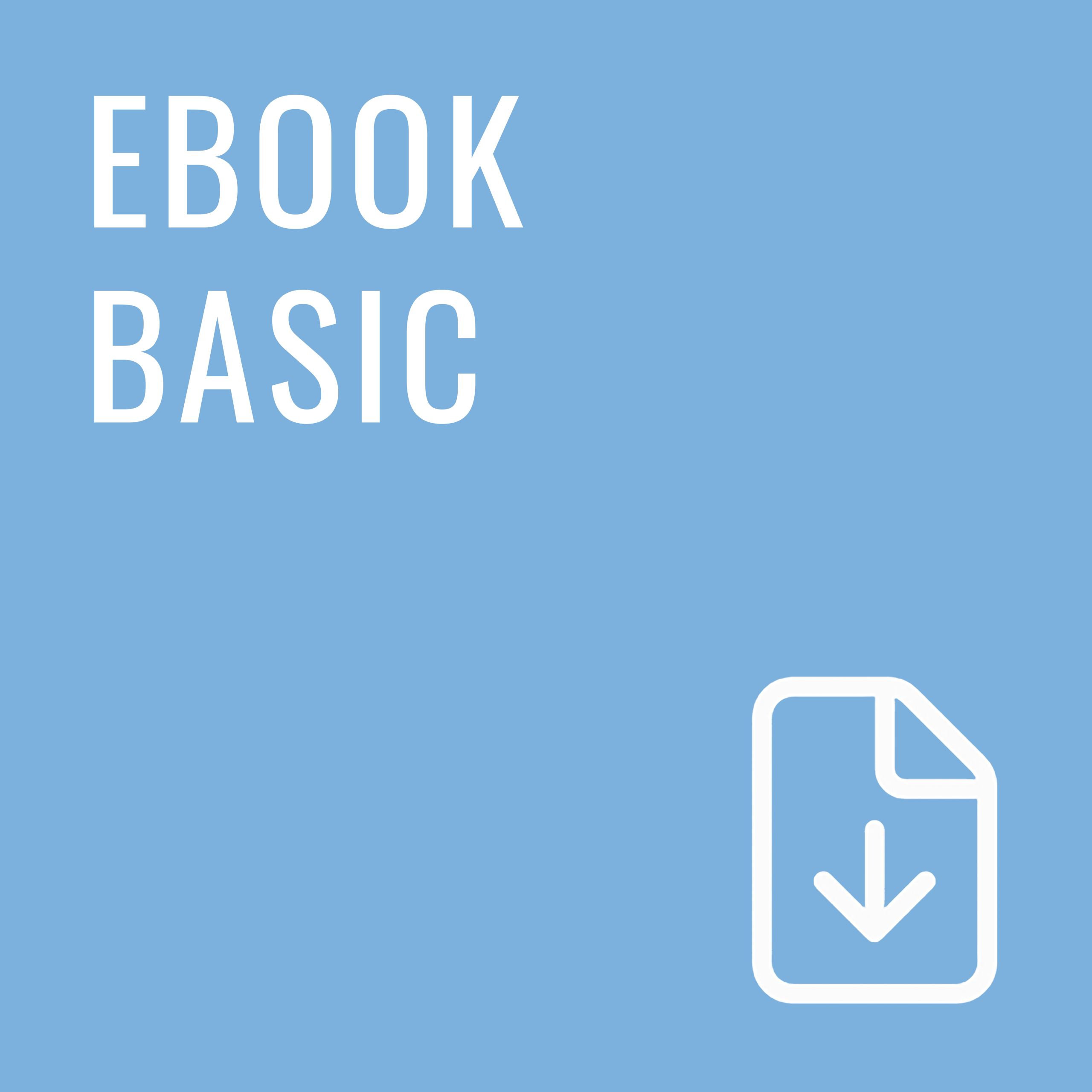 Basic eBook - swissICT