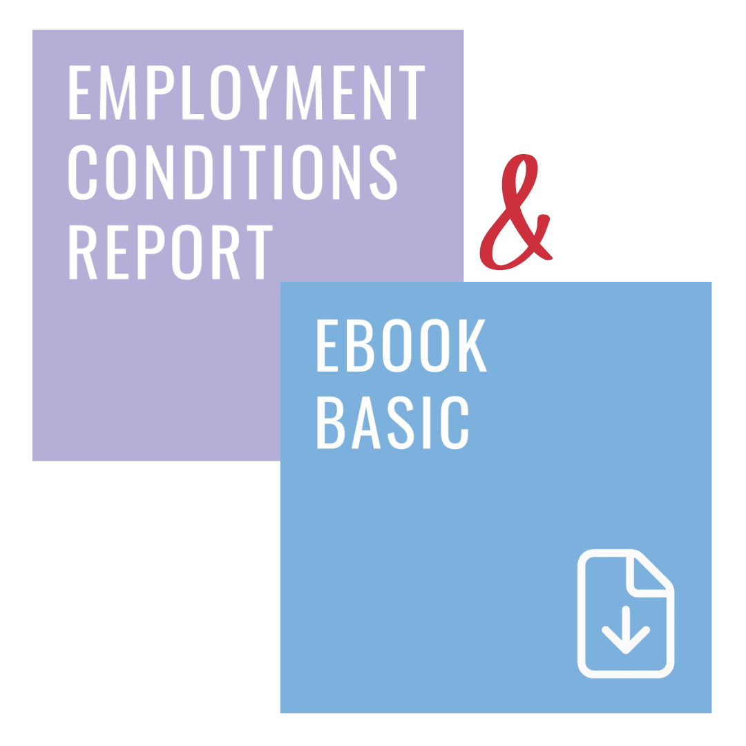 Basic eBook Plus - swissICT